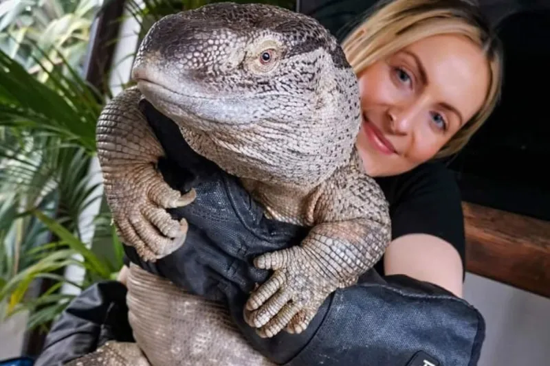 Animal Handling Gloves - ‘Venom Defender’ Hexarmor R8E 3180